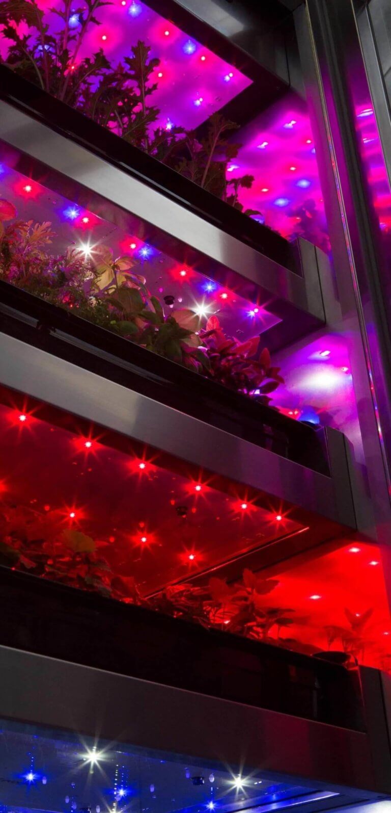 How it Works - Hydroponic Vertical Farming Technology - Evogro